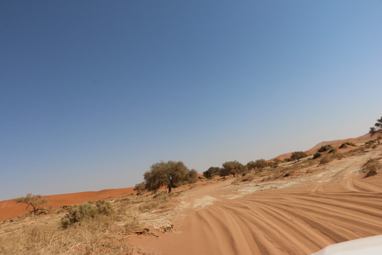 Tag 6 - Sesriem National Park & Sossusvlei | Reisebericht | wiewirreisen.de